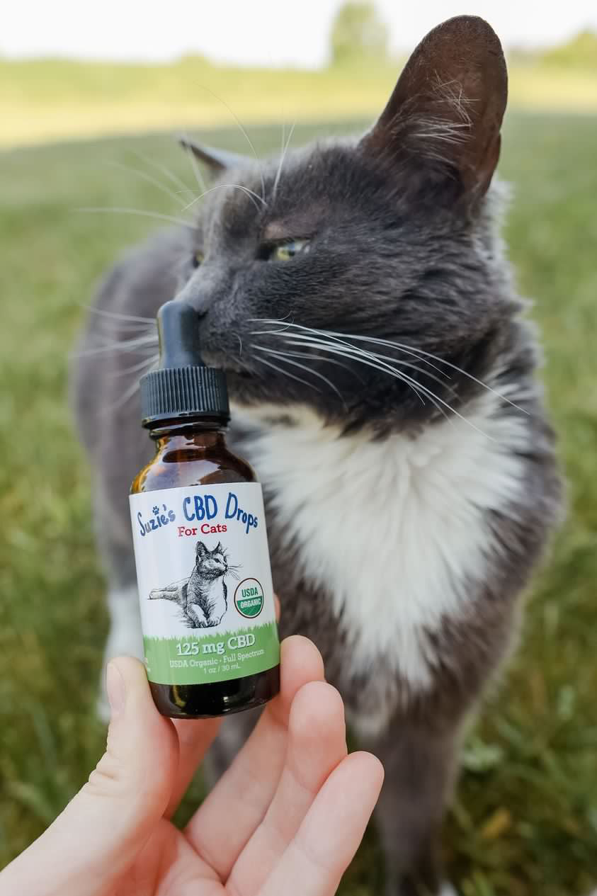 Organic CBD For Cats: Drops & Bites | Suzie's Pet Treats