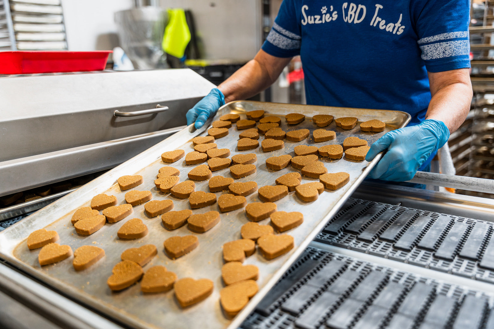 CBD Bites for Cats - 50 Count 0.5mg | Suzies CBD Treats